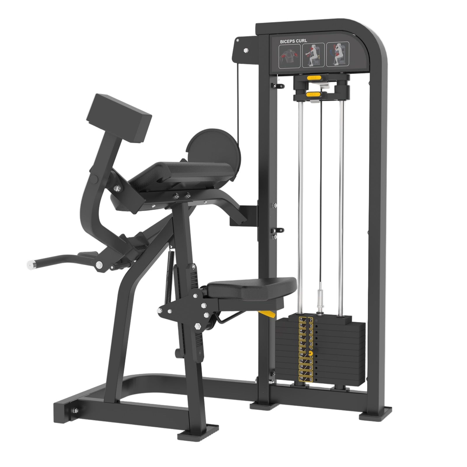 Biceps Curl Machine – WE BUILD GYMS
